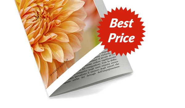 Offerte per la stampa di volantini, biglietti da visita, cartoline